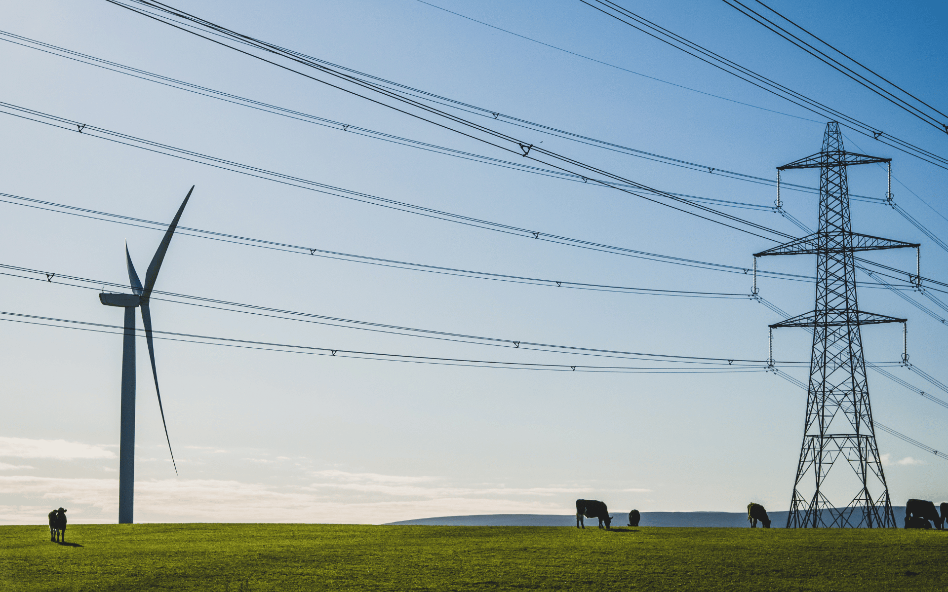 Galaxy Infra & Engineering Private Limited